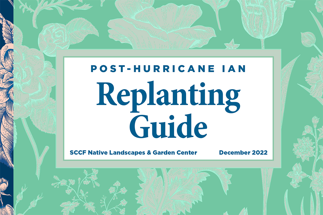 SCCF: Re-vegetate the right way with tips from center - SANIBEL-CAPTIVA ...